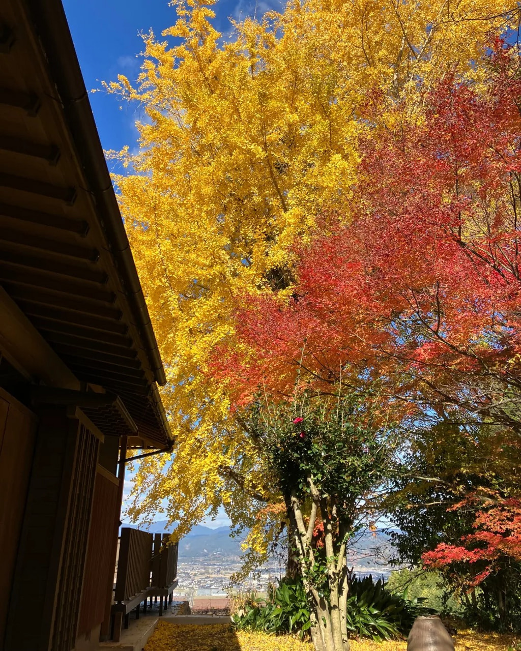 Doopブログ｜福岡のリノベーション｜Doop