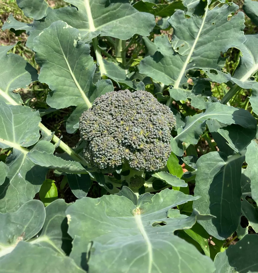 Doopブログ｜福岡のリノベーション｜Doop