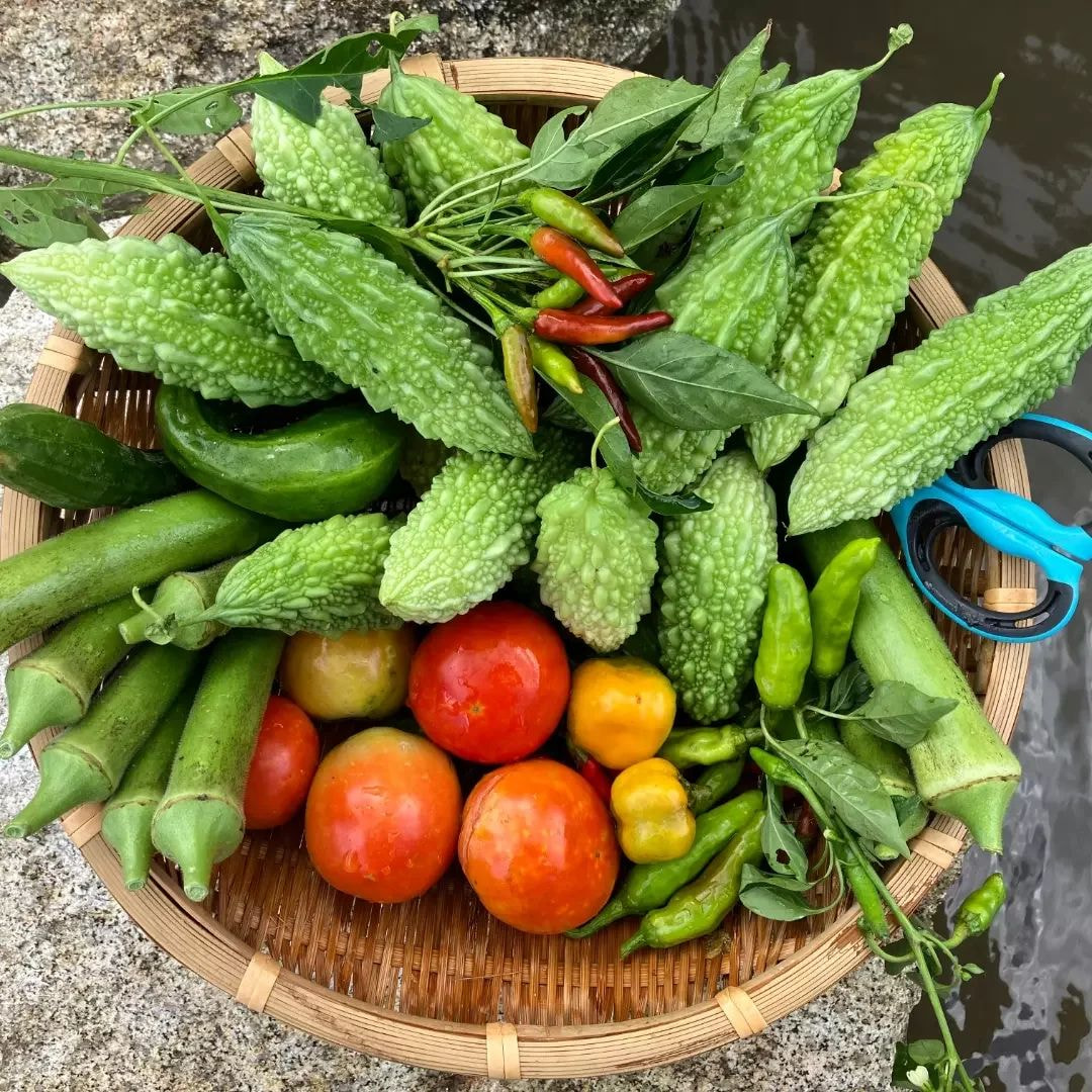 Doopブログ｜福岡のリノベーション｜Doop