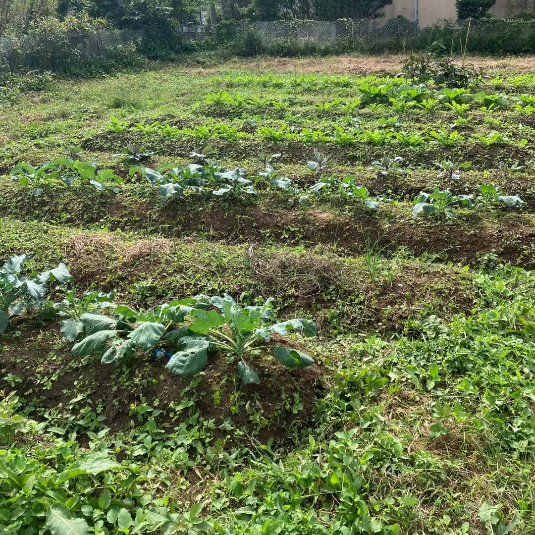 Doopブログ｜福岡のリノベーション｜Doop