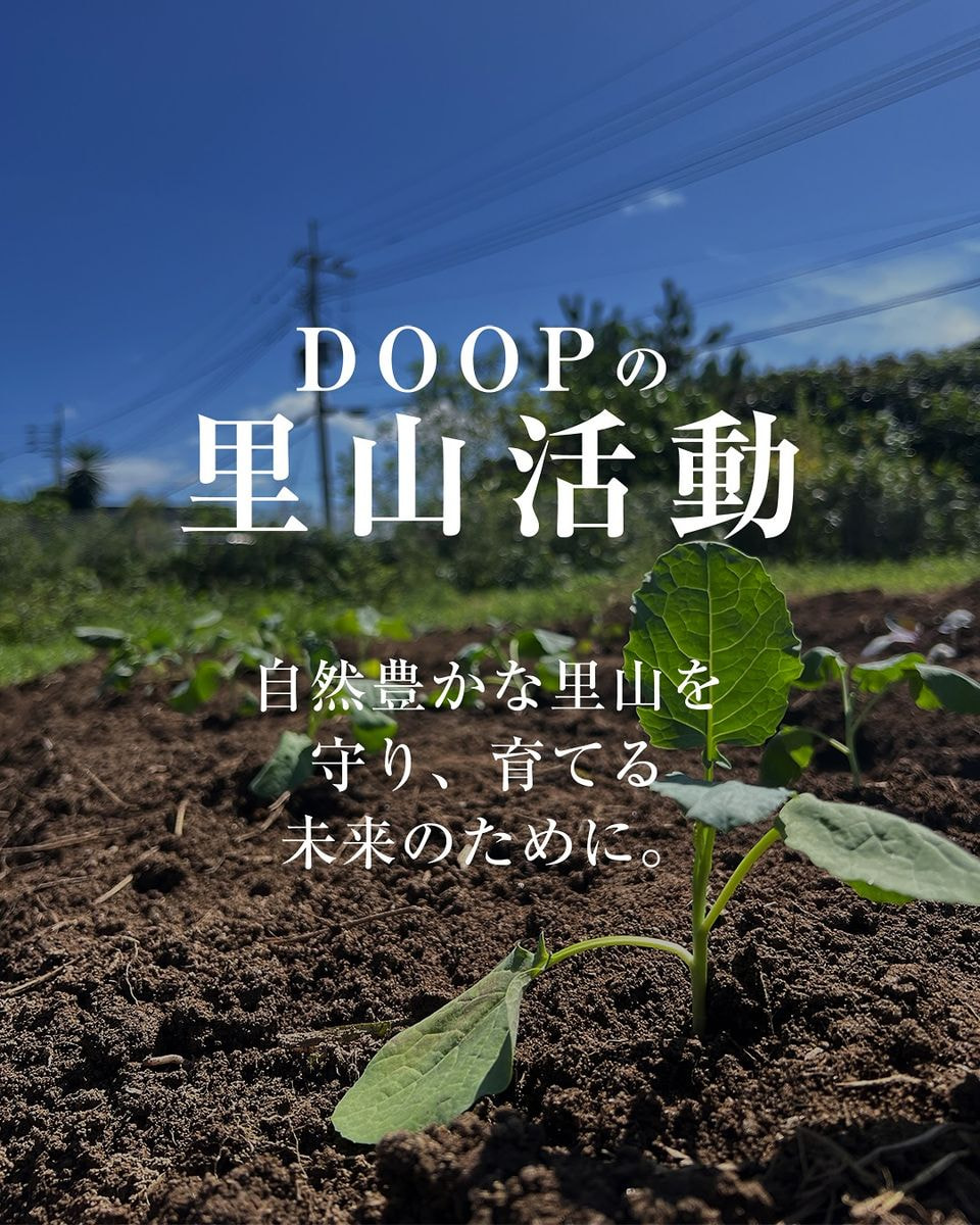 Doopブログ｜福岡のリノベーション｜Doop