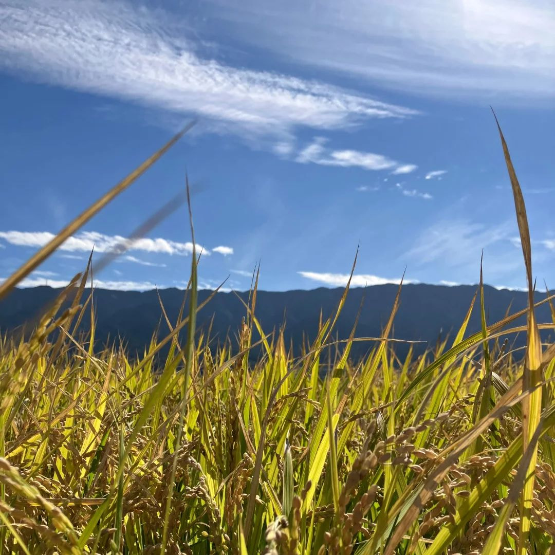 Doopブログ｜福岡のリノベーション｜Doop