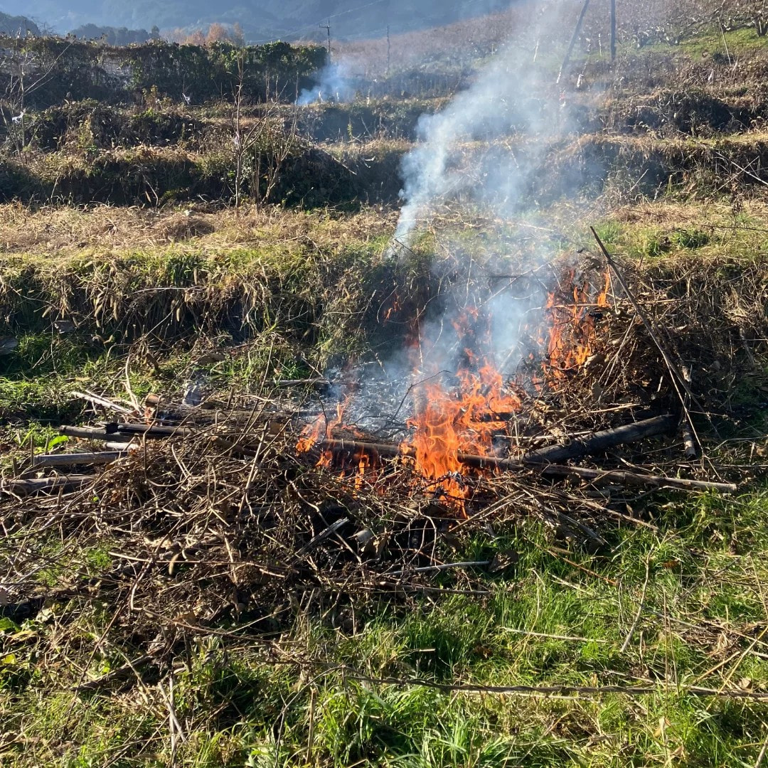 Doopブログ｜福岡のリノベーション｜Doop