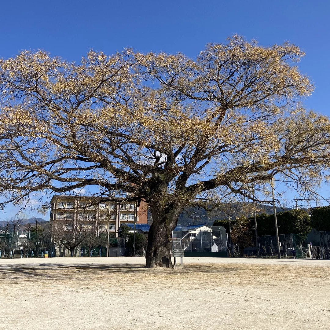 Doopブログ｜福岡のリノベーション｜Doop